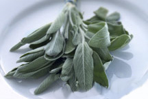 Signs and Symptoms of Salvia Abuse