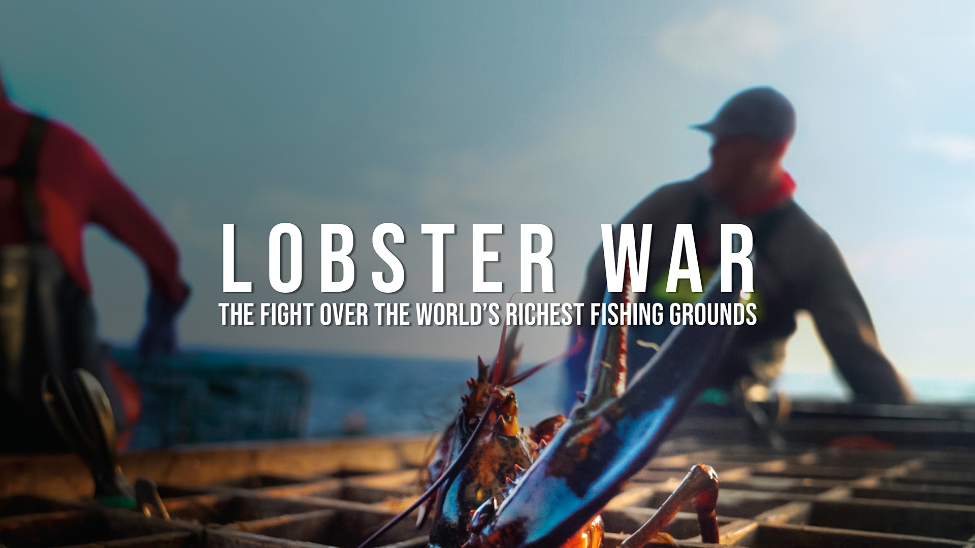Lobster War: The Fight Over the World’s Richest Fishing Grounds | Videos
