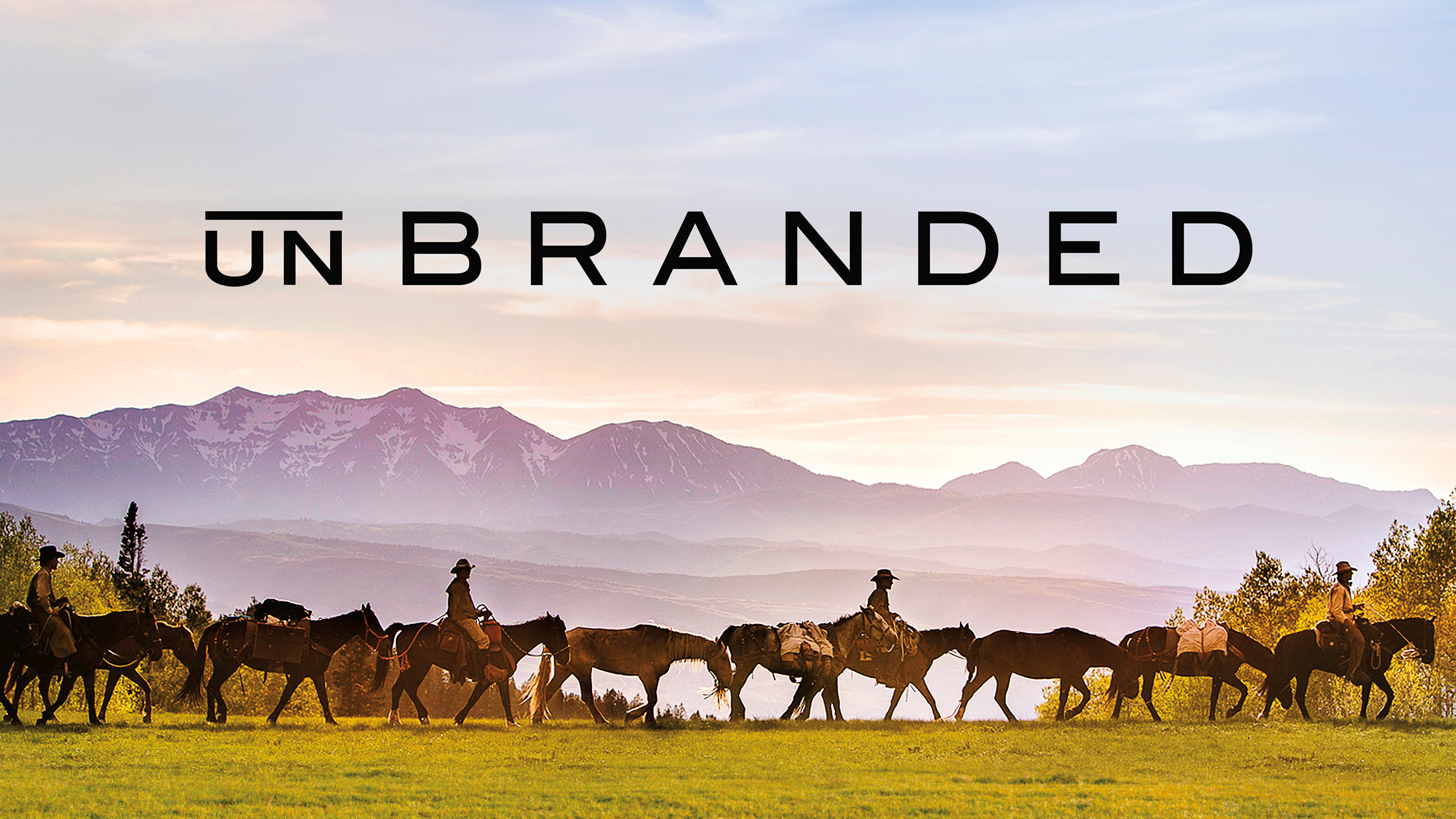 Unbranded Trailer