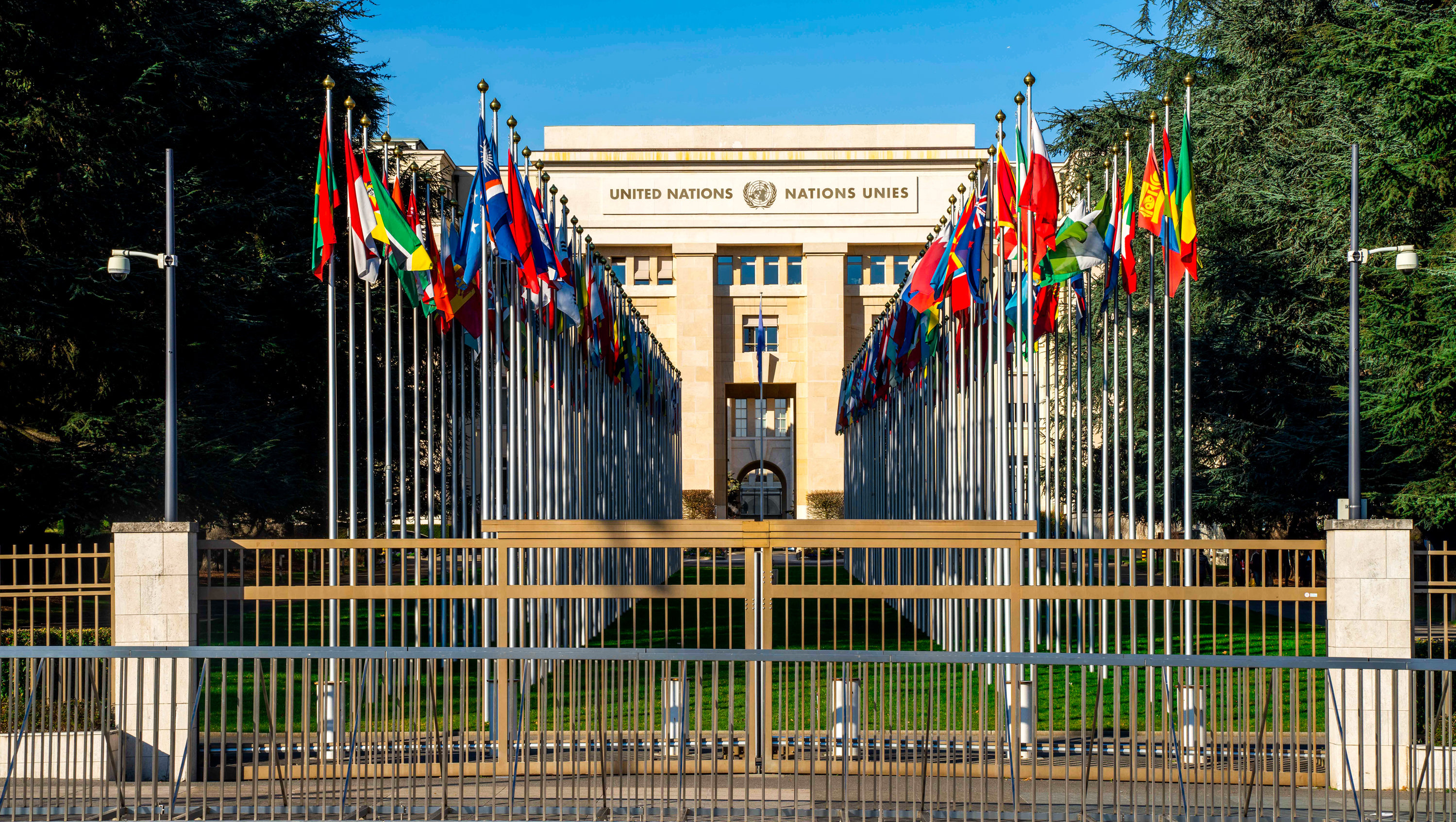 CCHRは精神科医による虐待を終わらせるために進み続けます