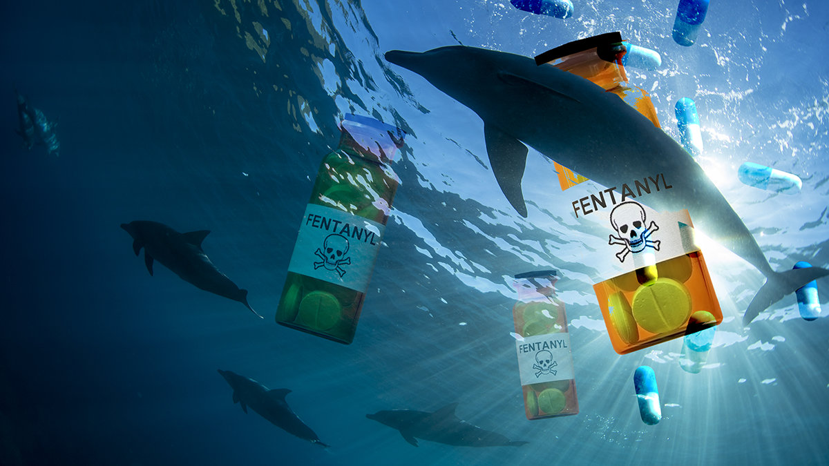 Fish Hooked on Drugs Bodes Ill for Humans