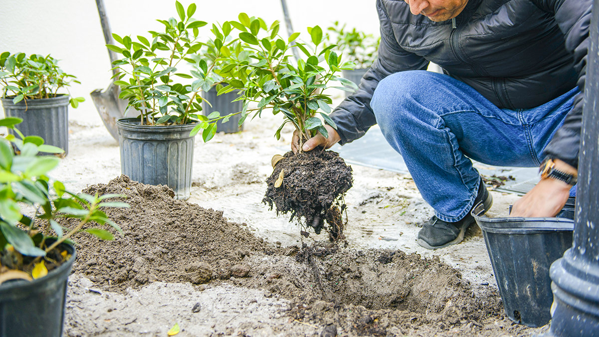 Improvements Underway in Gas Light Alley by the Woolworth Building