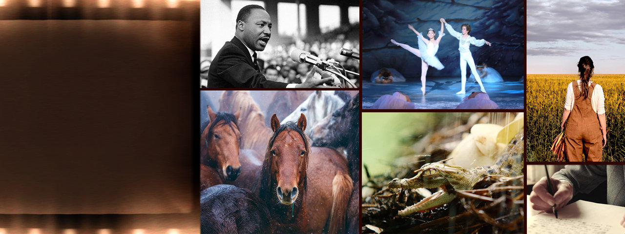 Watch Scientology Network: TV Channel and Video On Demand