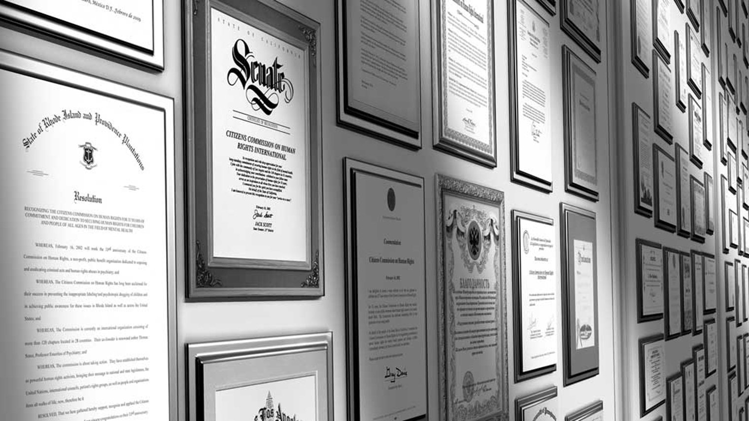 Accomplishments of the Citizens Commission on Human Rights