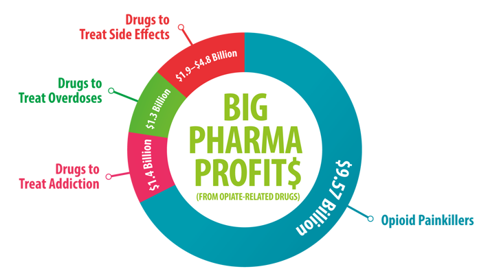 Behind the Curtain of the Opioid Epidemic: The Companies That Profit