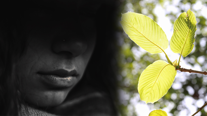 My Experience with Kratom