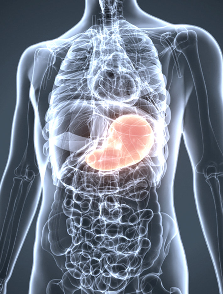 How Alcohol Use Affects One’s Body