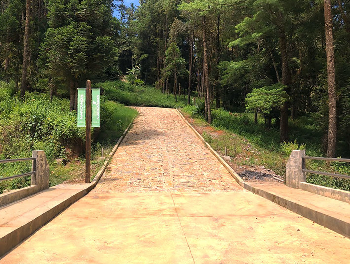 Te comparto mi experiencia en Narconon Puebla