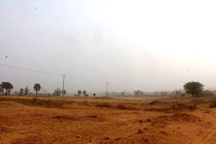 Catholic Church in Nigeria to Plant 5.5 Million Trees in 5 Years