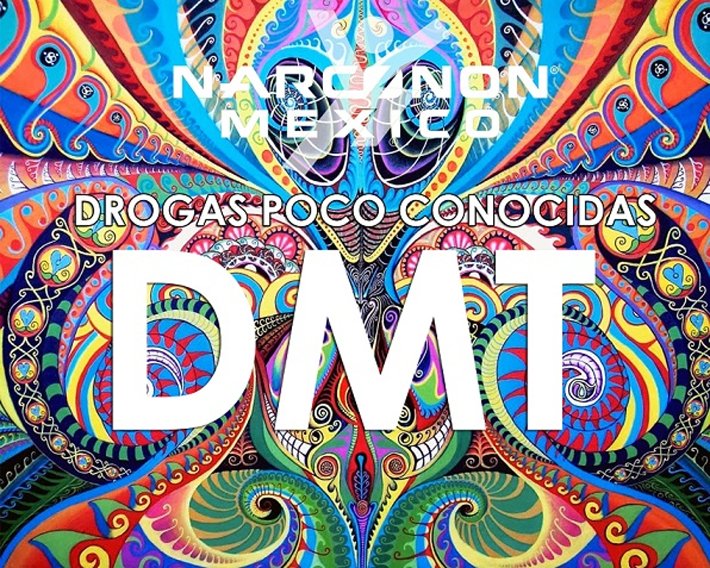 Drogas Poco Conocidas El DMT, la Molécula de Dios