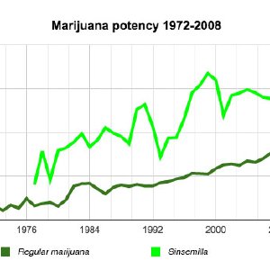 The Truth About Marijuana Potency Claims